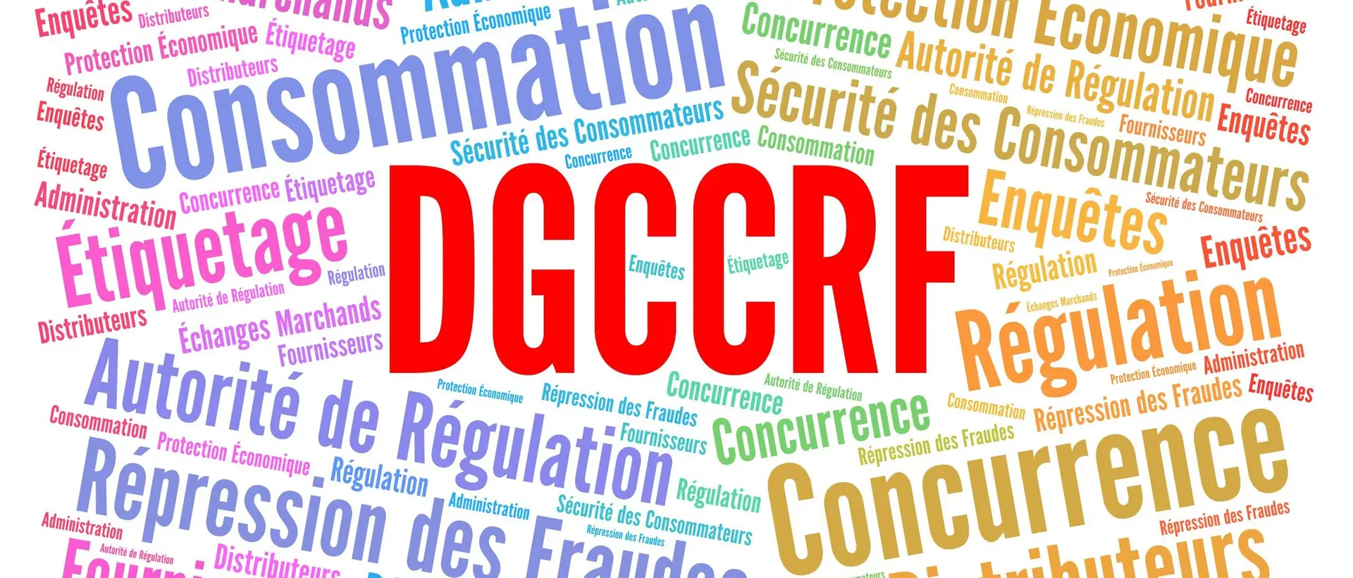 Le Rôle de la DGCCRF dans la Commande Publique